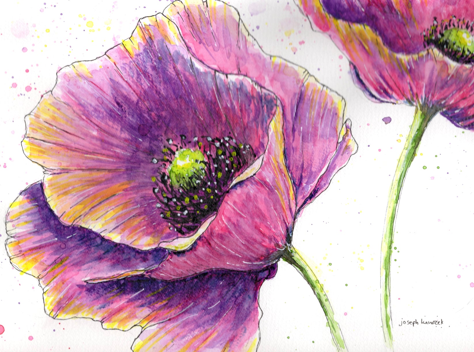 Field Poppies – Joseph Kernozek